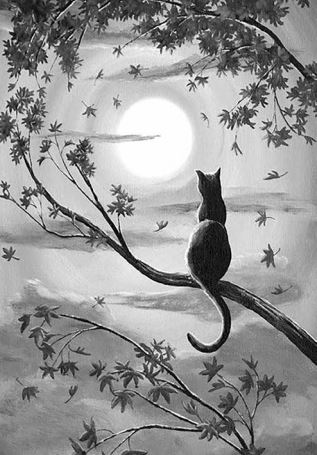 Cuentos breves de Mariel Turrent